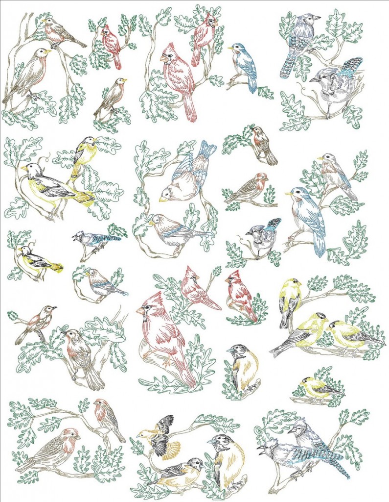 Song birds collection | Machine Embroidery Designs By Sew Swell