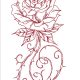Classic Rose Redwork | Machine Embroidery Designs By Sew Swell